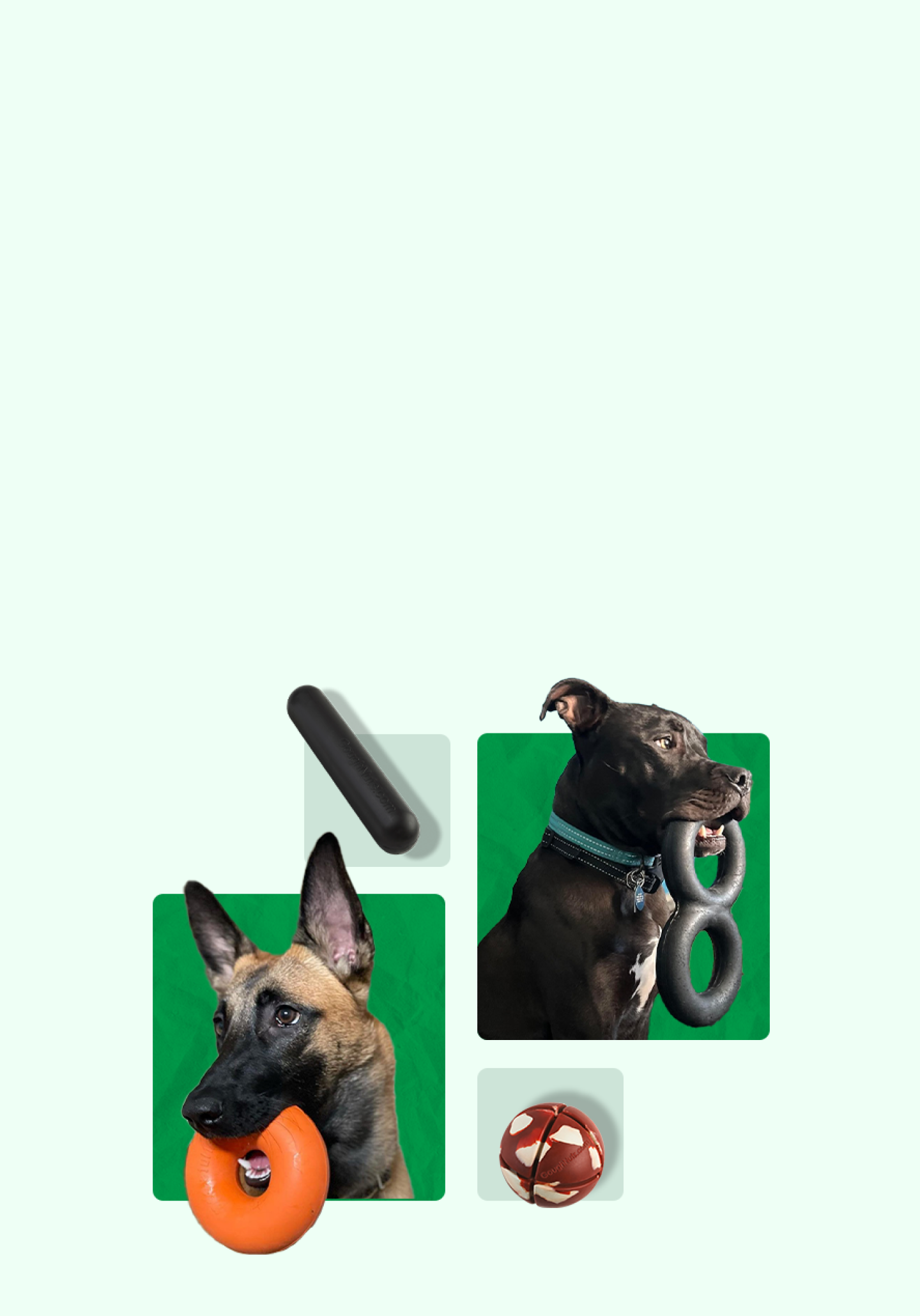 Goughnuts - Durable Dog Toys for Aggressive Chewers – Goughnuts Dog ...