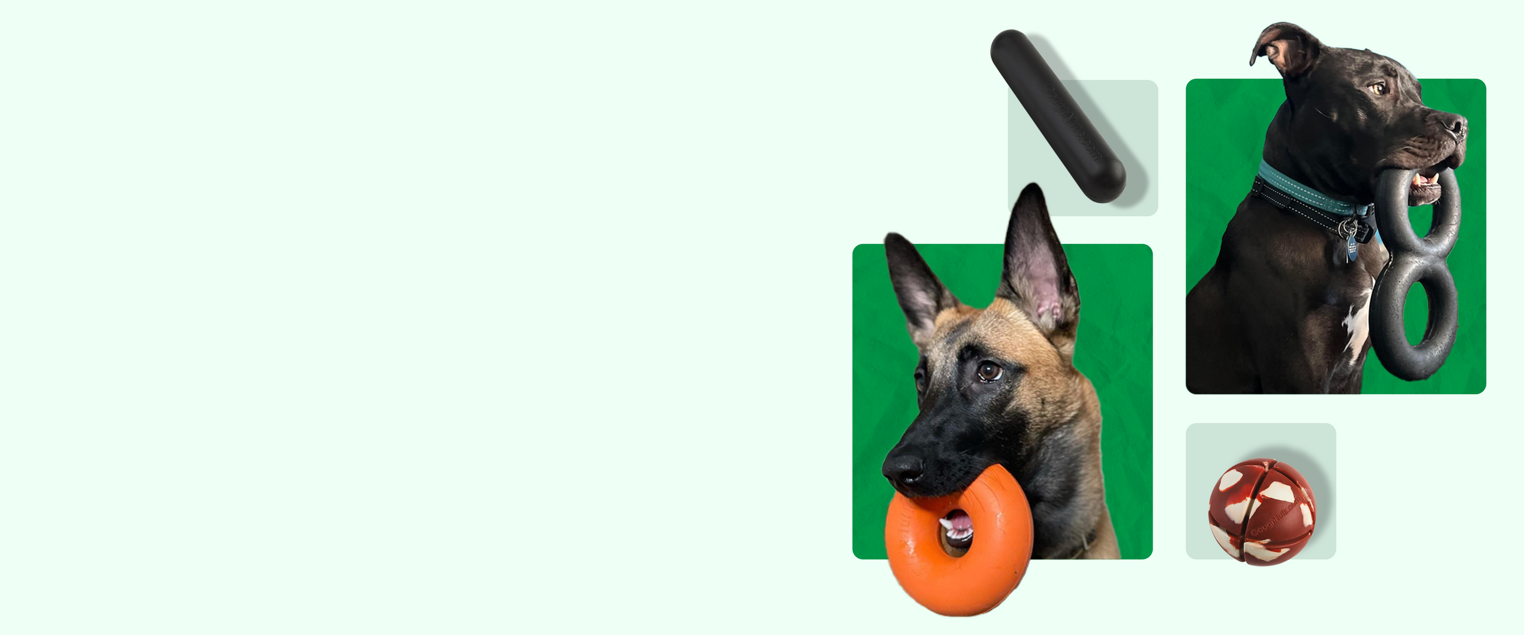 Goughnuts - Durable Dog Toys for Aggressive Chewers – Goughnuts Dog ...